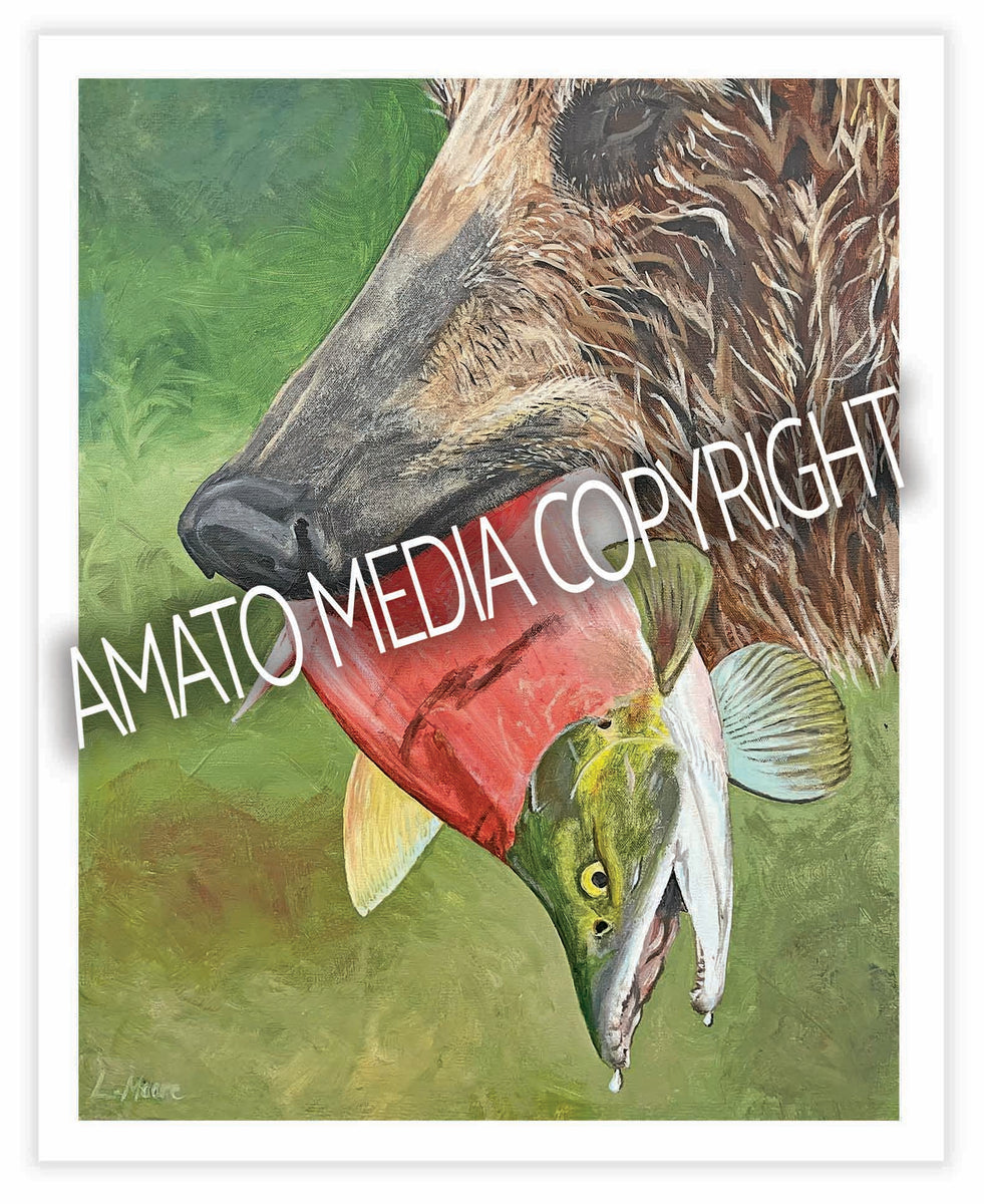 Sockeye Salmon and Alaska Bear (Art Print) - by Lindsey Moore – Amato Books