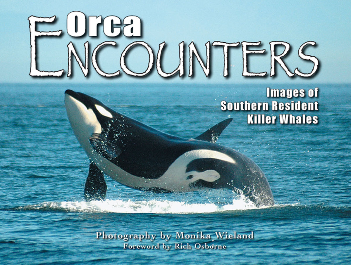 ORCA ENCOUNTERS by Monika Wieland – Amato Books